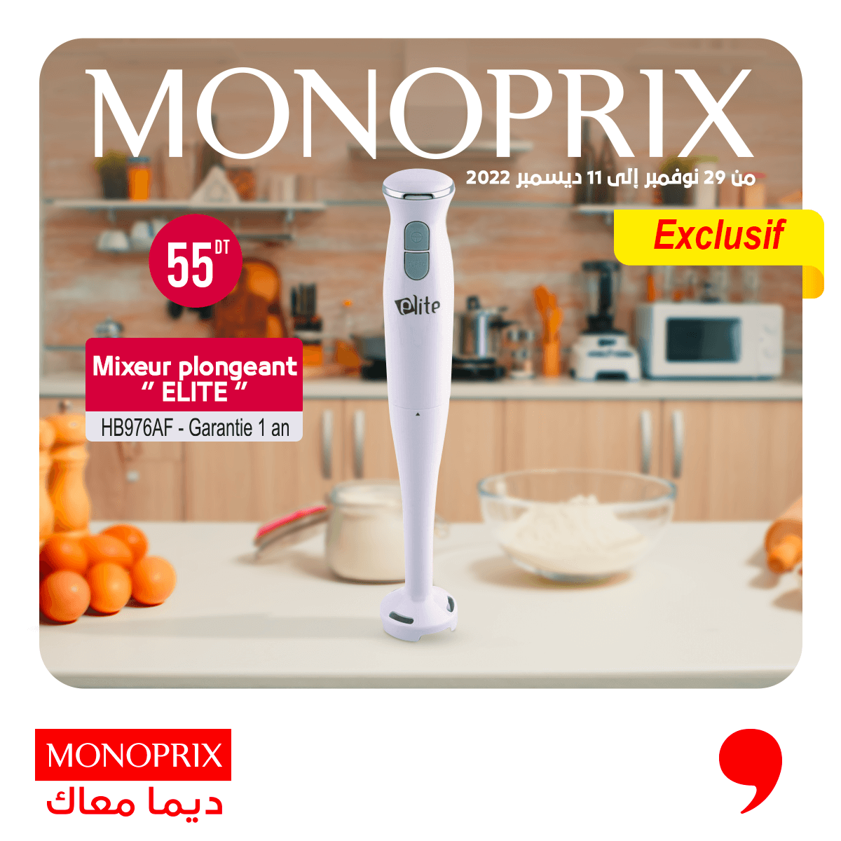 Mixeur plongeant ELITE - 9adhity