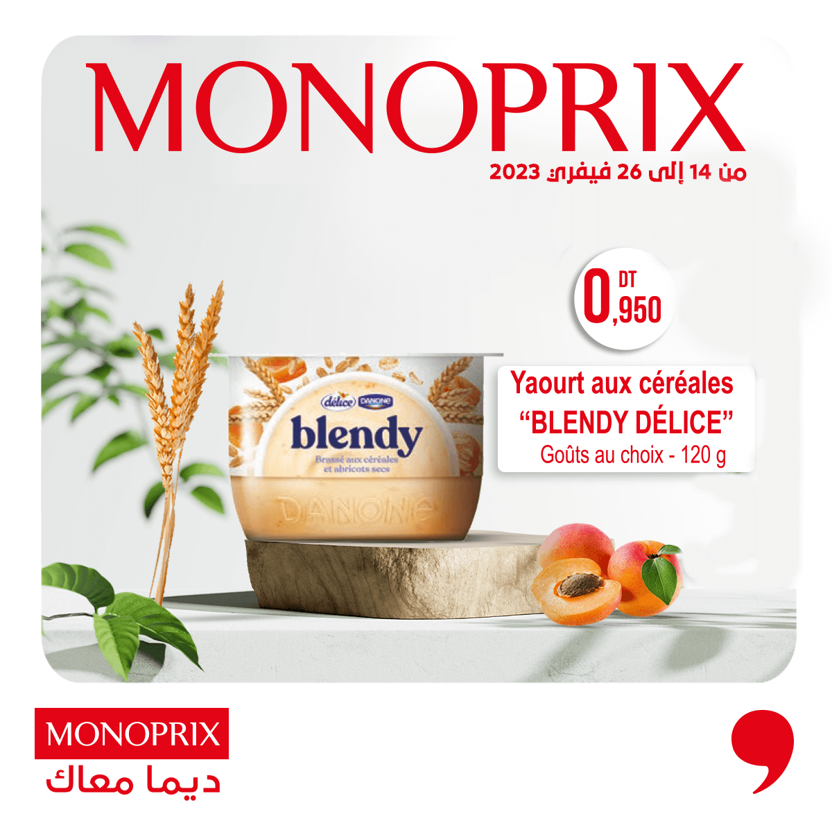 Yaourt BLENDY - 9adhity