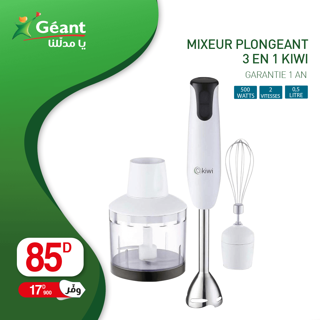 Mixeur plongeant 3en1 KIWI - 9adhity
