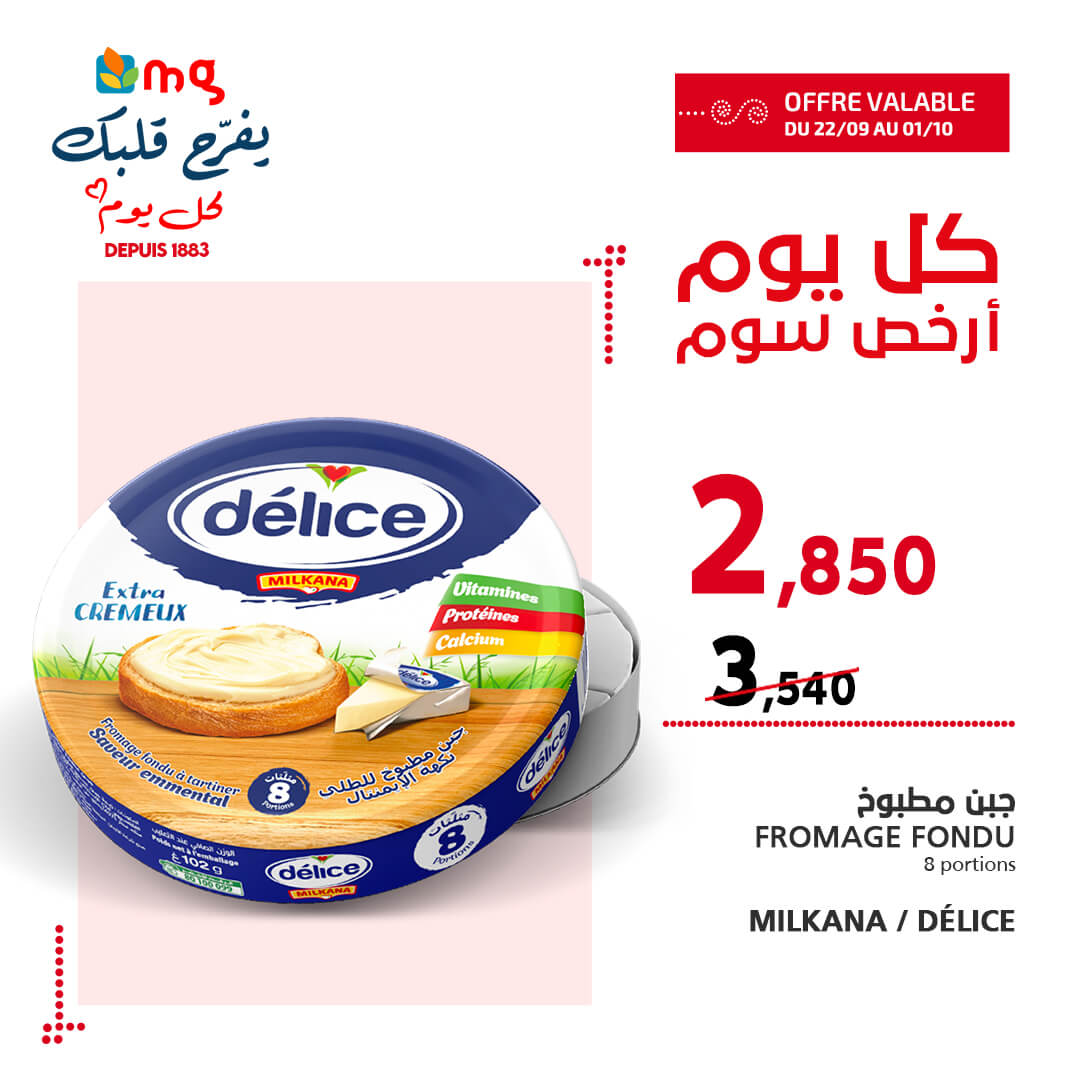 Fromage fondu DELICE - 9adhity