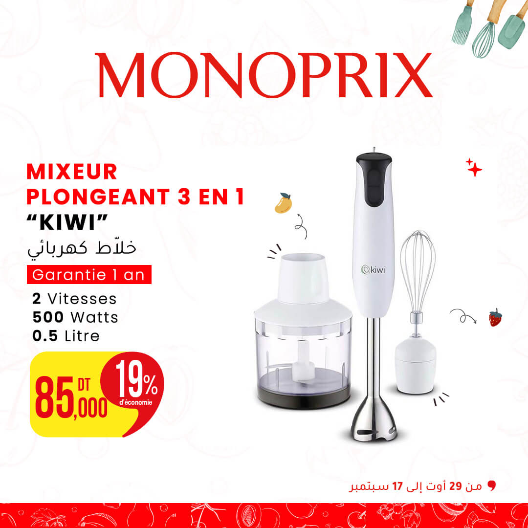 Mixeur plongeant 3 en 1 KIWI - 9adhity