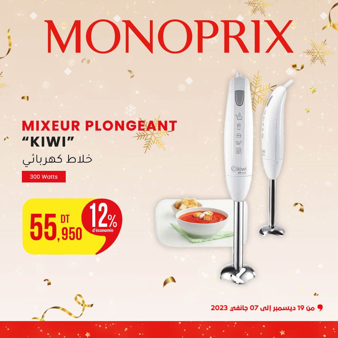 Mixeur plongeant KIWI - 9adhity